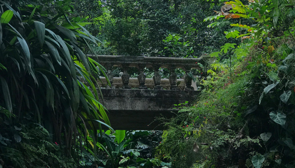 Como visitar o Parque Lage na zona sul do Rio de Janeiro