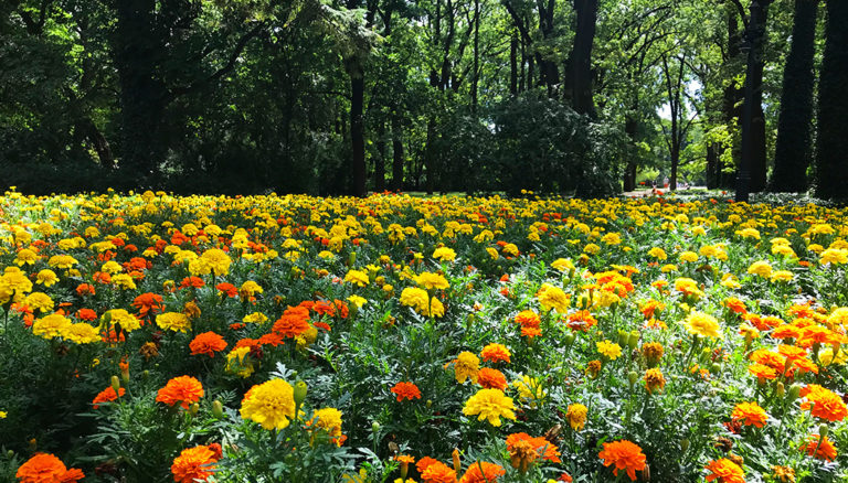 O que fazer em Varsóvia, na Polônia (Roteiro de 2 ou 3 dias) - Vou na ...