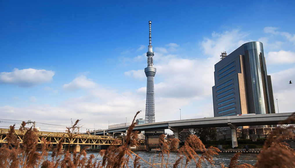 Roteiro em Tóquio: o que fazer na capital japonesa em 4 dias